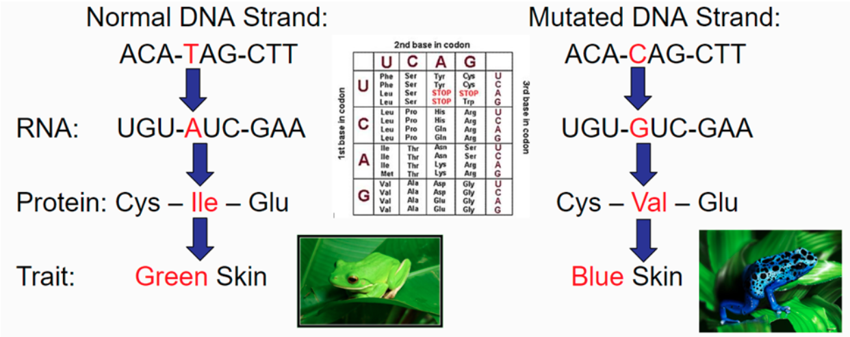 HS-LS1-1 - InnerOrbit Blog
