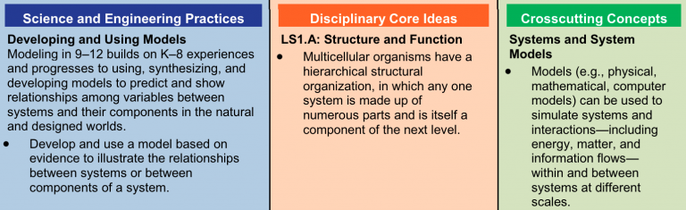 HS-LS1-2: Interacting Body Systems - InnerOrbit Blog
